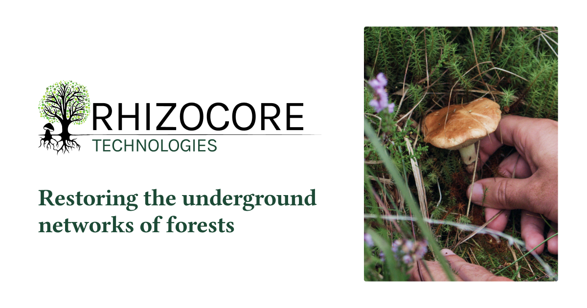 Rhizocore - Fungi are the future of forestry