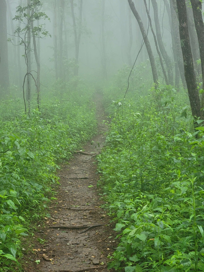 StepZero Coaching - Recognize. Repair. Refocus.