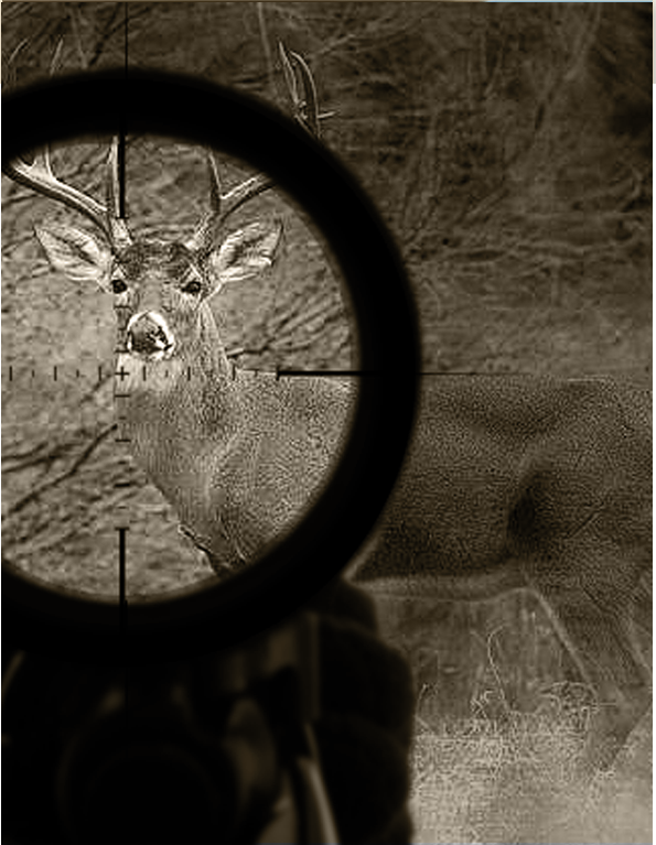 Lonesome Whale Ranch | The Best Hog Hunting in Texas