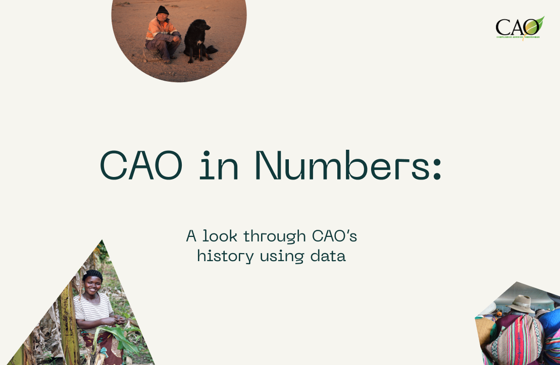 CAO in Numbers