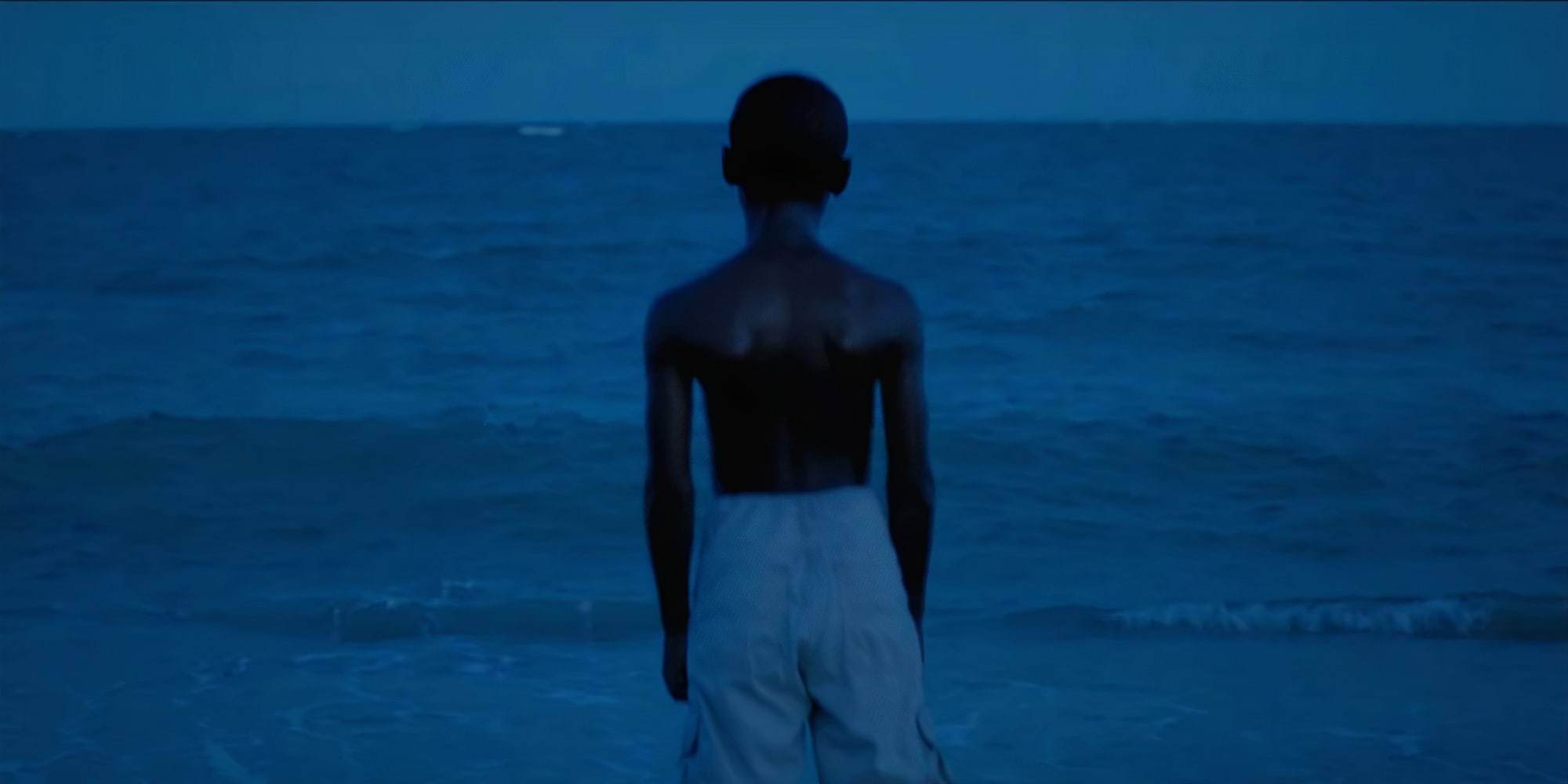 Movie LUTs - LUTs & LR profiles from Hollywood movies