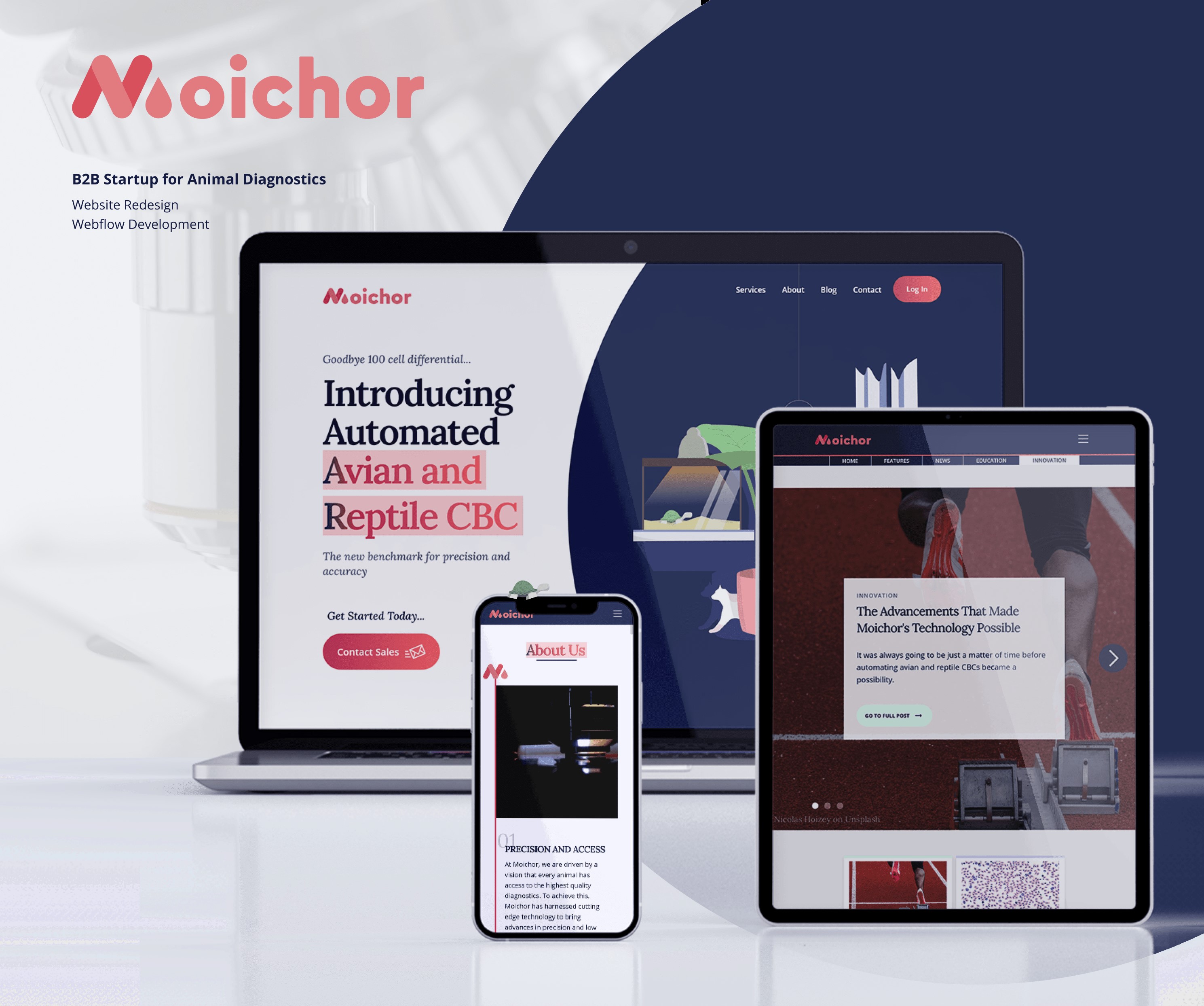 Moichor Inc. | thevnomad.