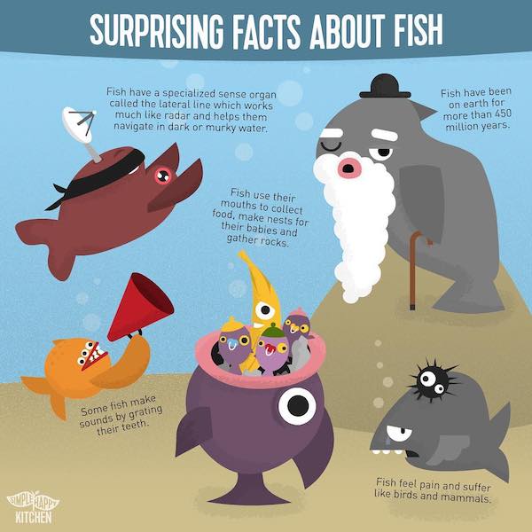 Fun Facts About Fish For Kindergarten Unique Fish Pho Vrogue co