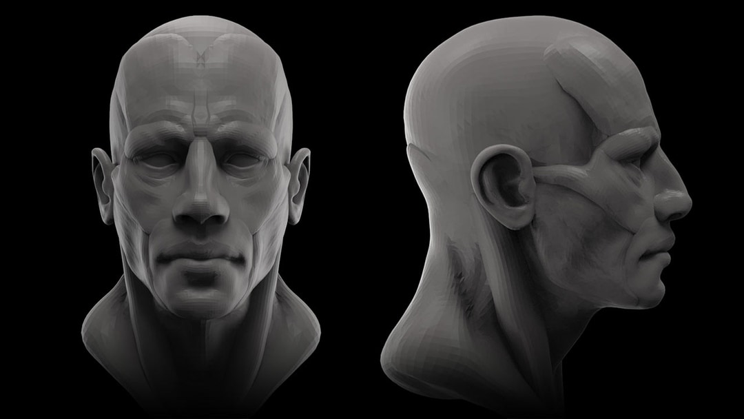 Tweaking the modular head