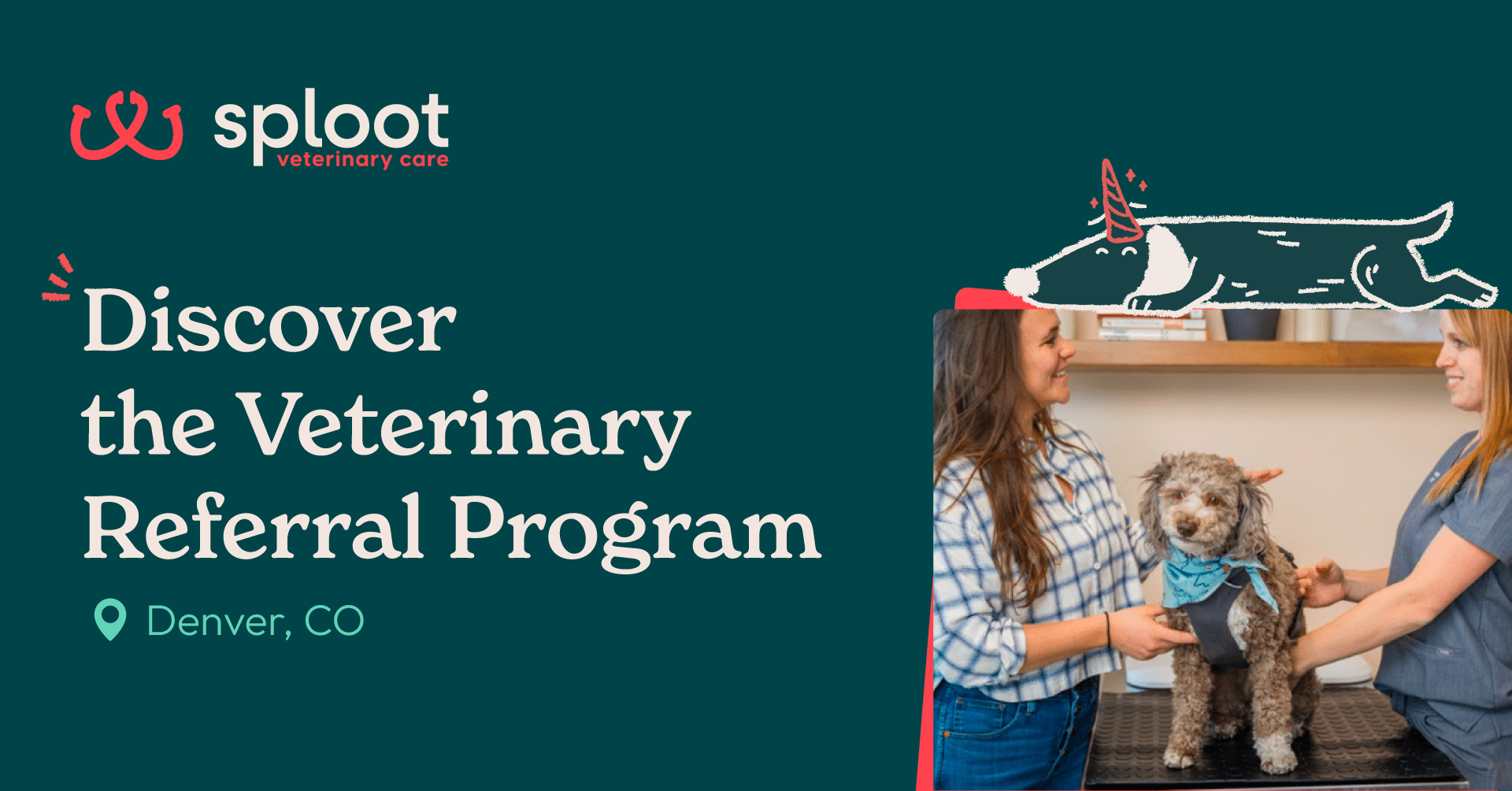 Veterinary Referral Program in Denver, CO