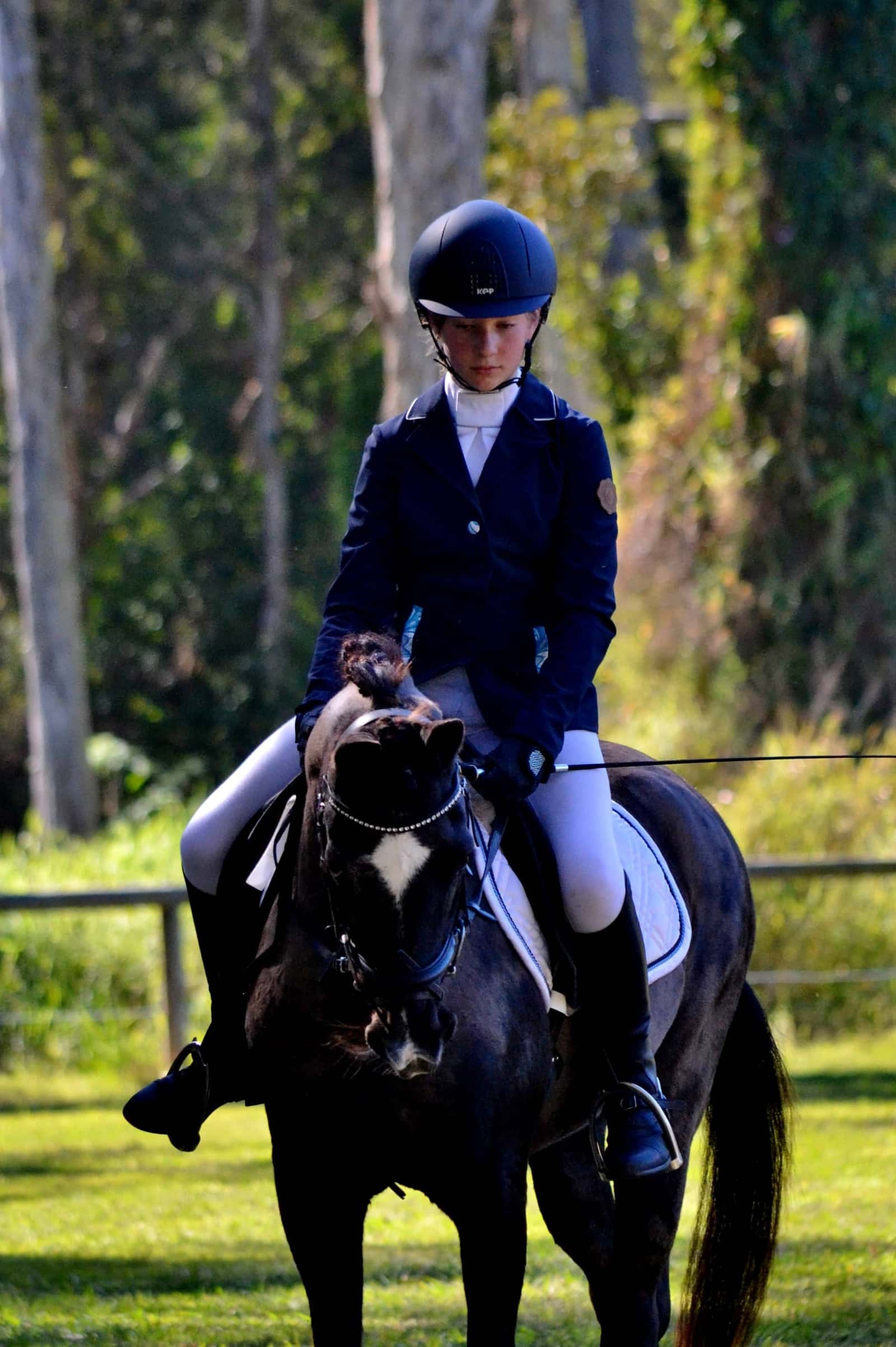 Training | Heritage Riding