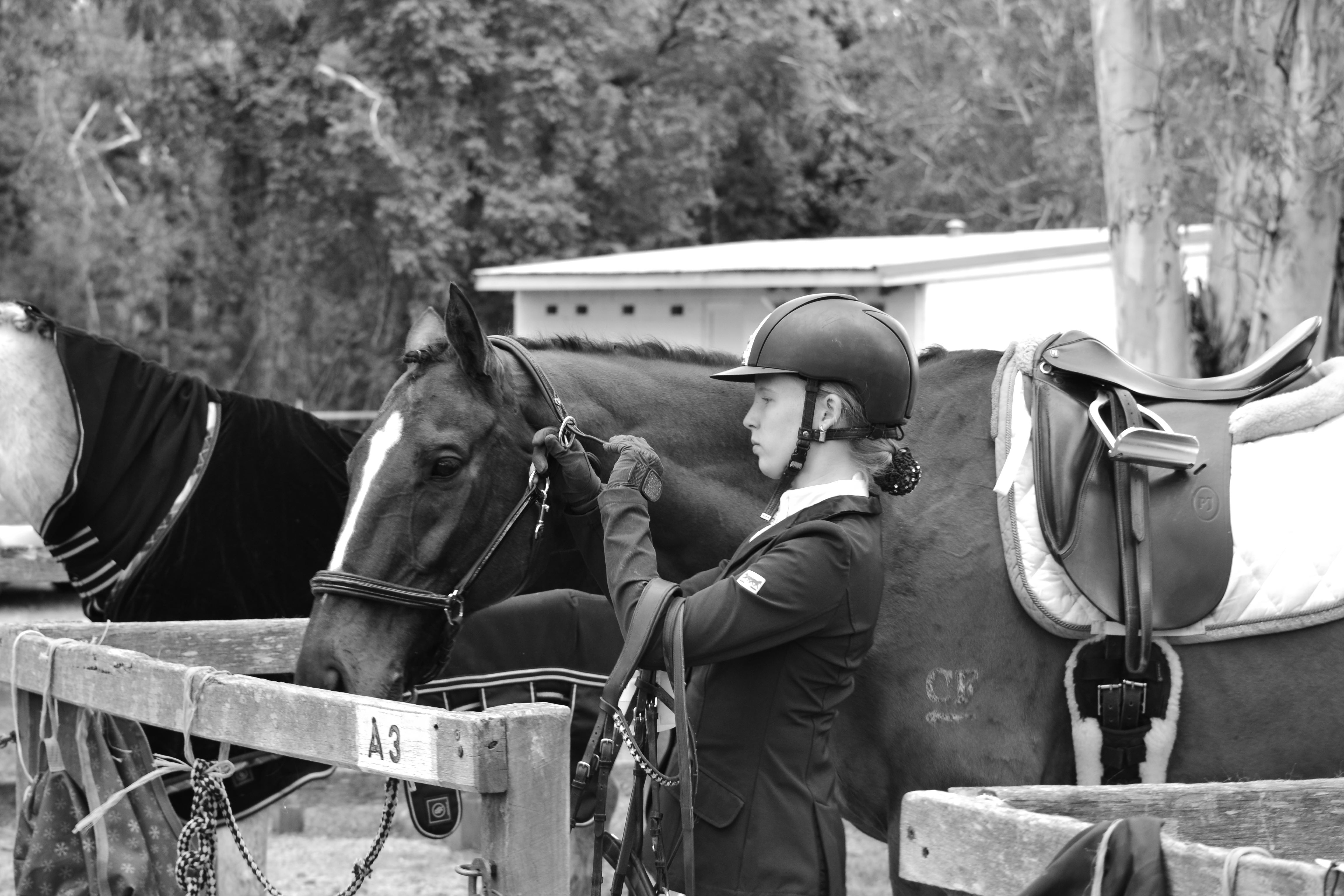 Training | Heritage Riding