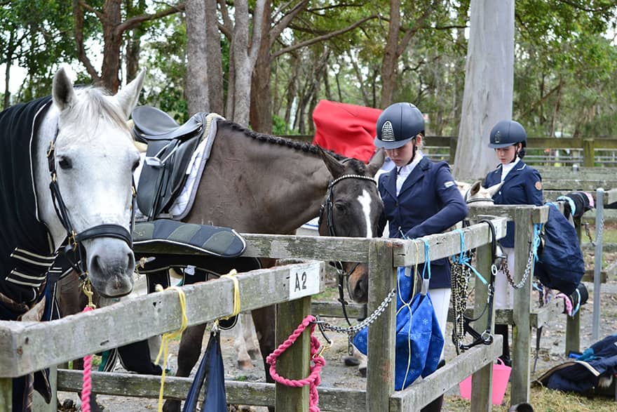 Training | Heritage Riding