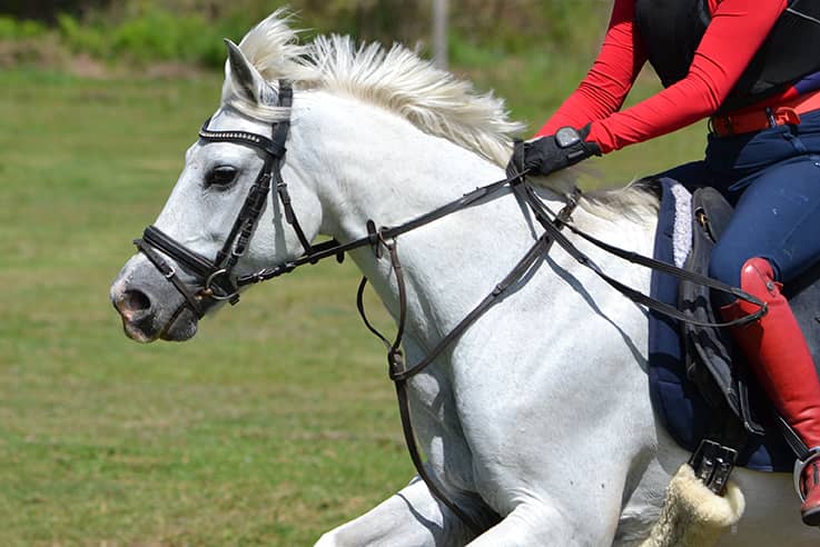 About Us | Heritage Riding