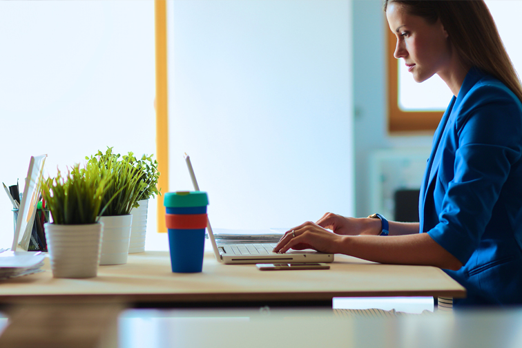 Healthy School Food Collaborative school food programs