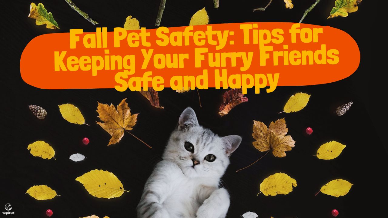 Fall Pet Safety: Tips for Keeping Your Furry Friends Safe and Happy ...