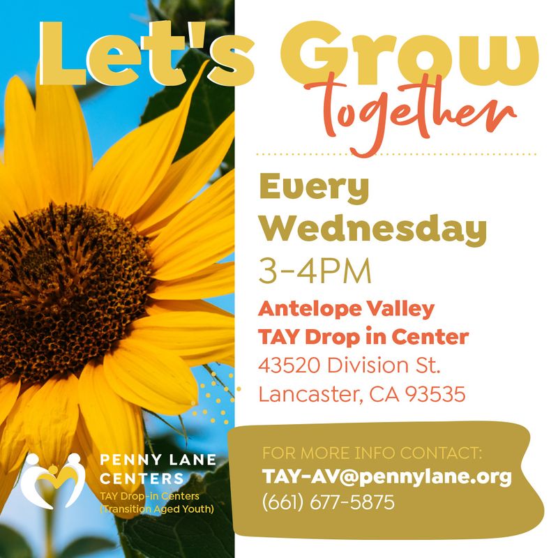 Transition Age Youth (TAY) Drop in Centers