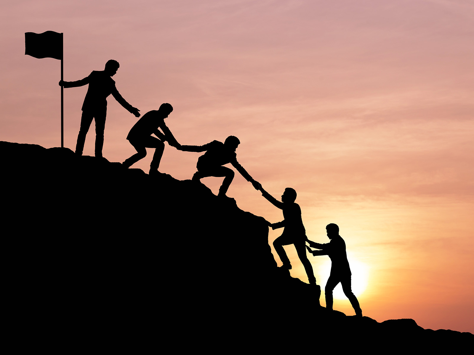 Concerto UK | Consultancy experts