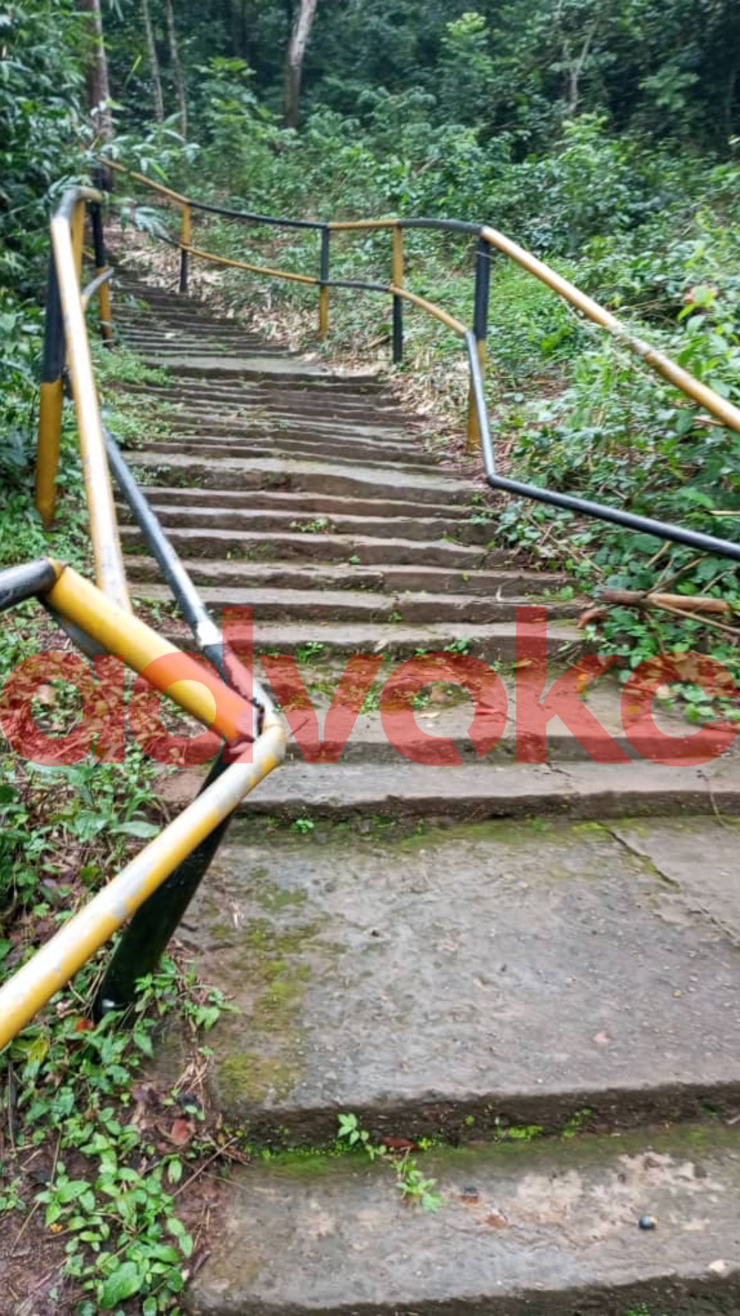 Restoring the Glory of Ogbunike Cave: A Promise Yet to be Fulfilled