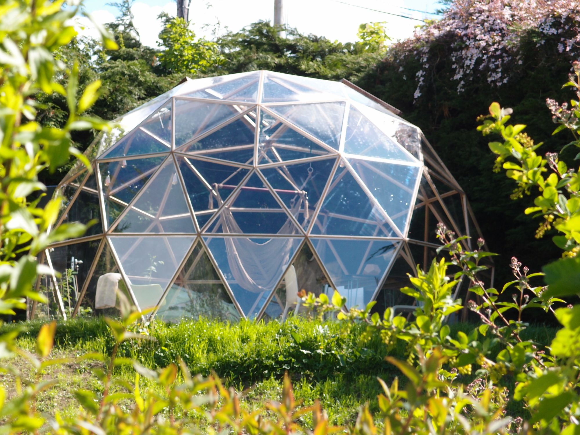 Geodesic Dome | Geodomes For Sale | Garden and Greenhouse Domes