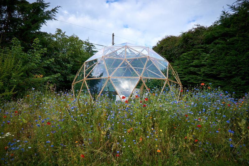 Geodesic Dome | Geodomes For Sale | Garden and Greenhouse Domes
