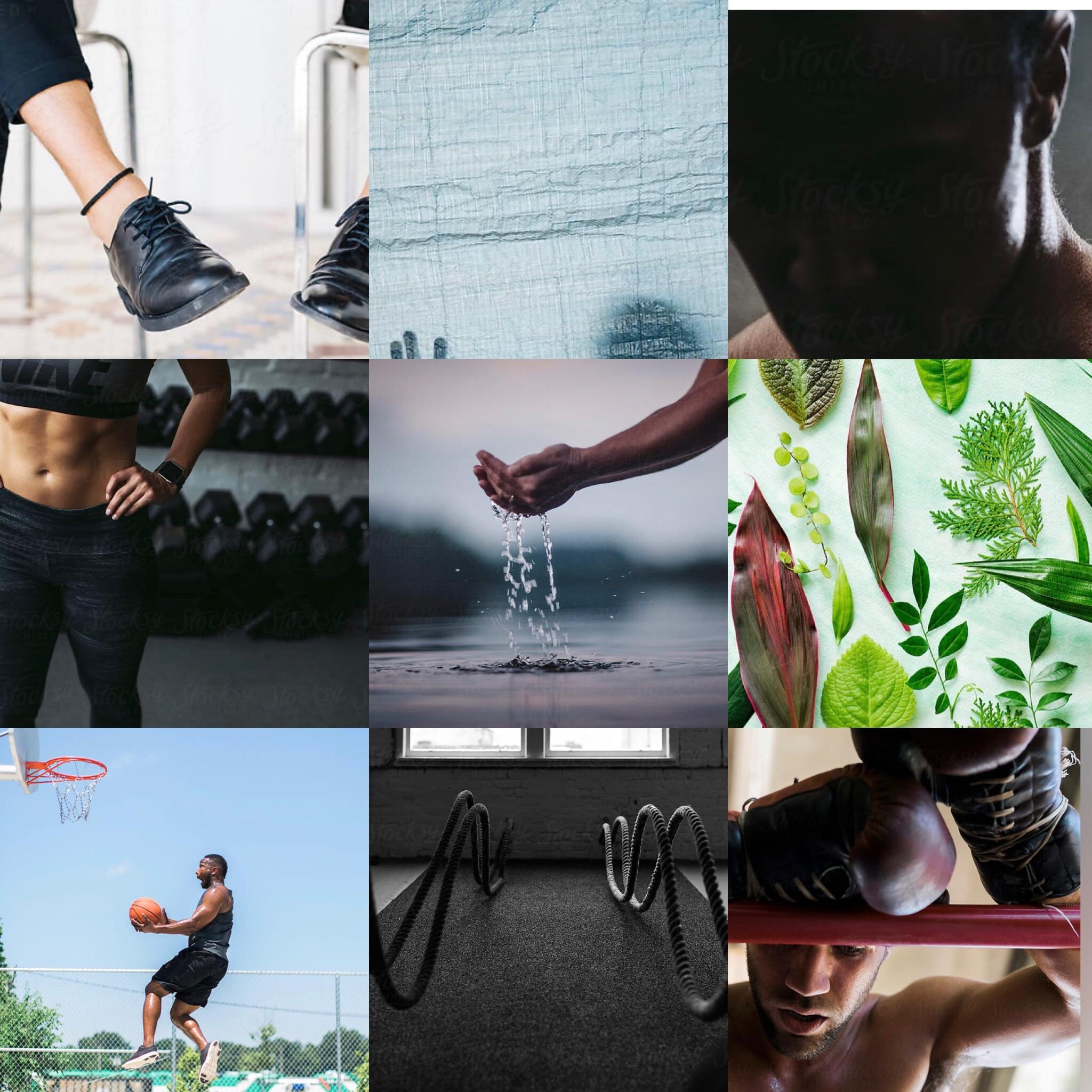 Case Study: Creating a Start UP from the Ground UP • Portfolios ...