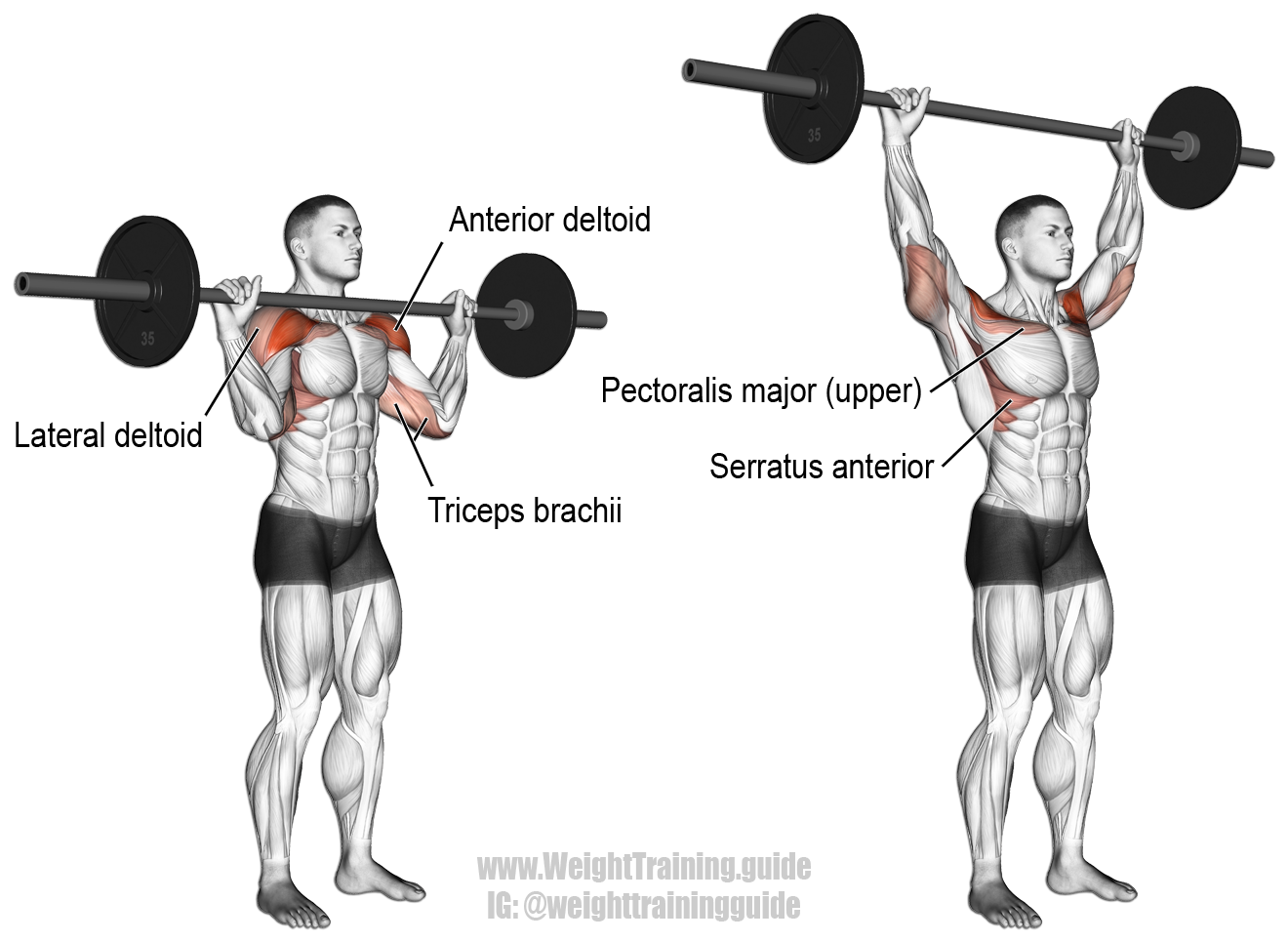 Therapy Thursday Pain With Overhead Press Facet Seven