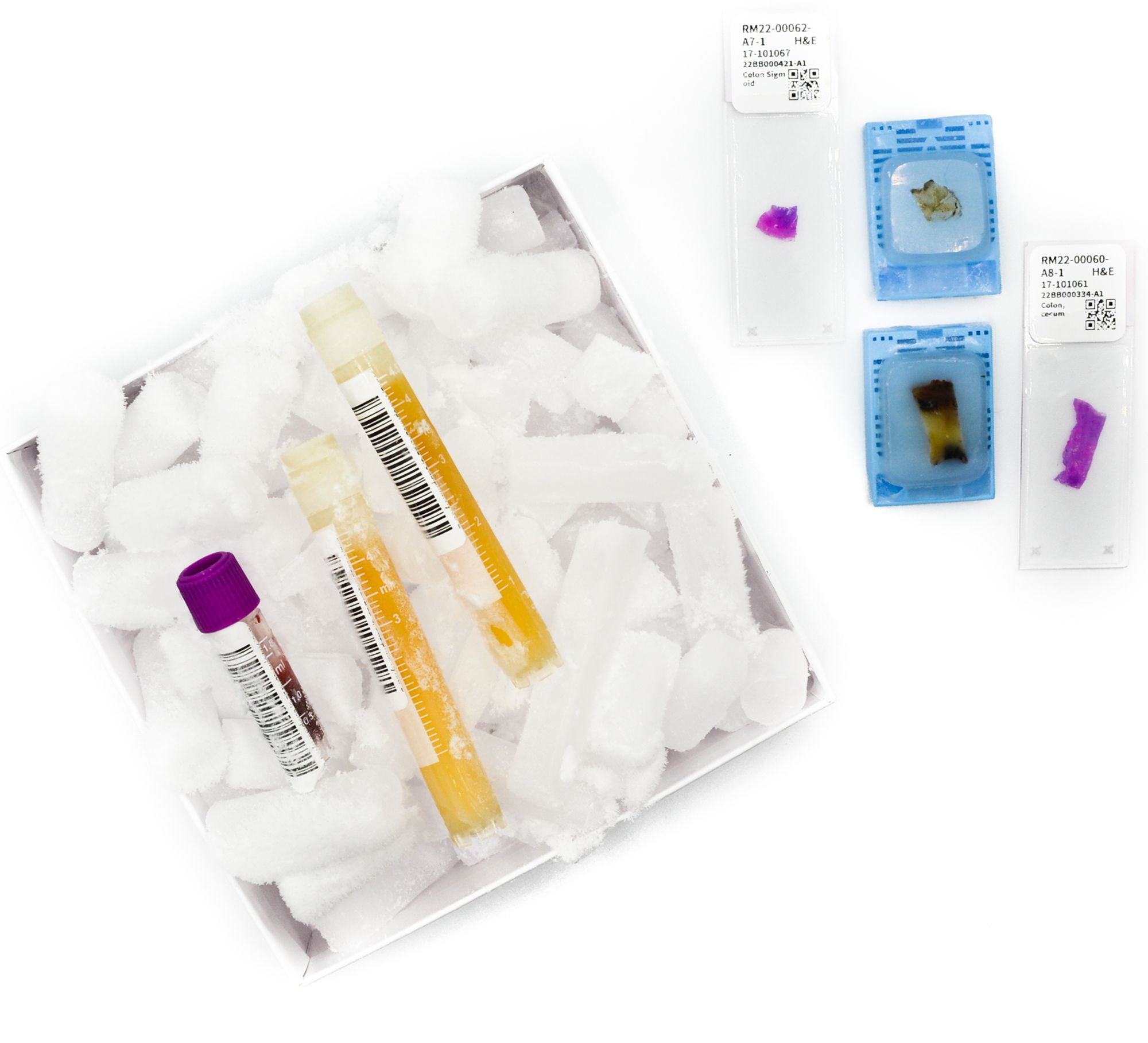 Reference Medicine - Home