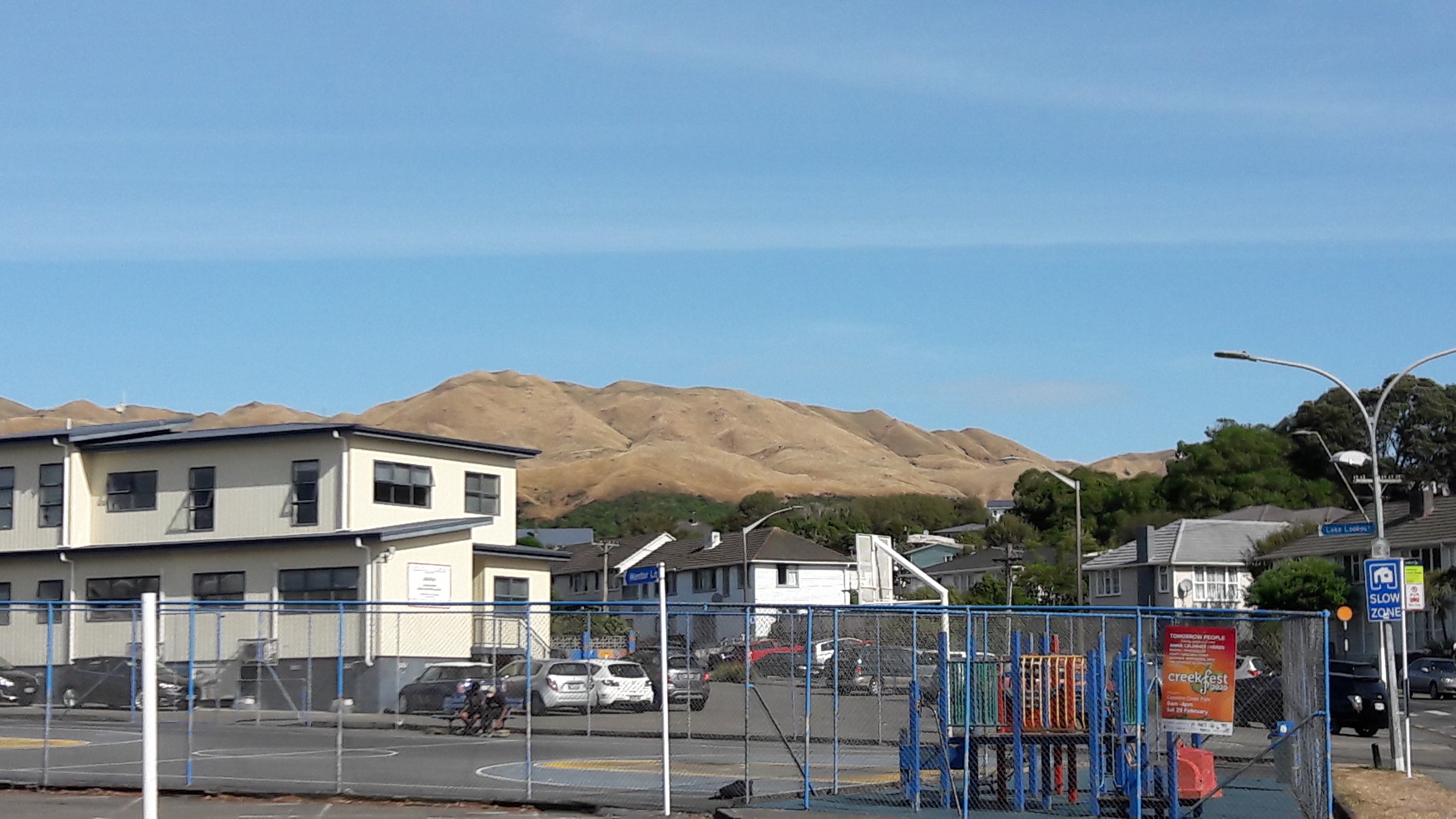 Te Hiko - Ngahere Korowai