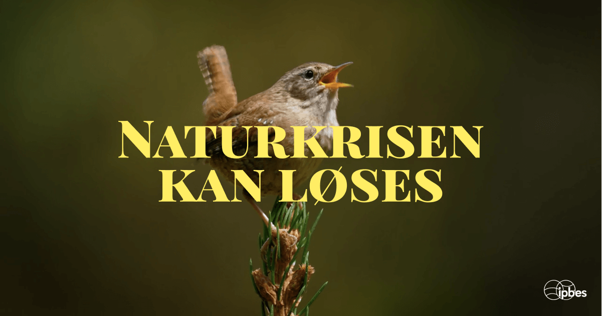 Naturkrisen kan løses | IPBES Danmark | Intro