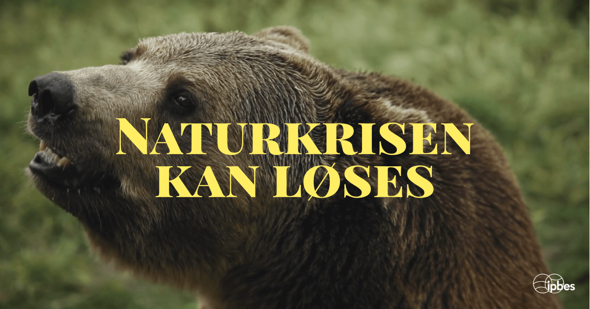 Global biodiversitetskrise - Trusler | Naturkrisen kan løses | IPBES Danmark