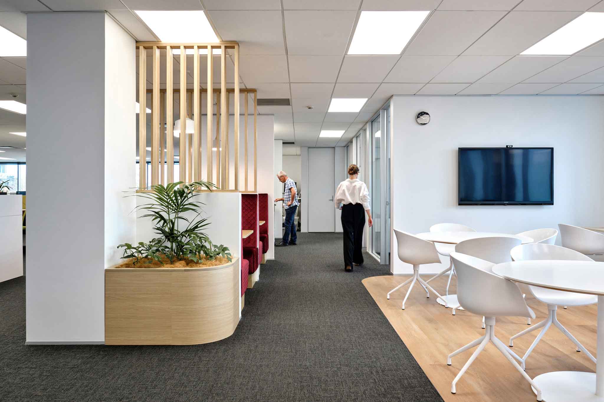 Springer | Studio DB