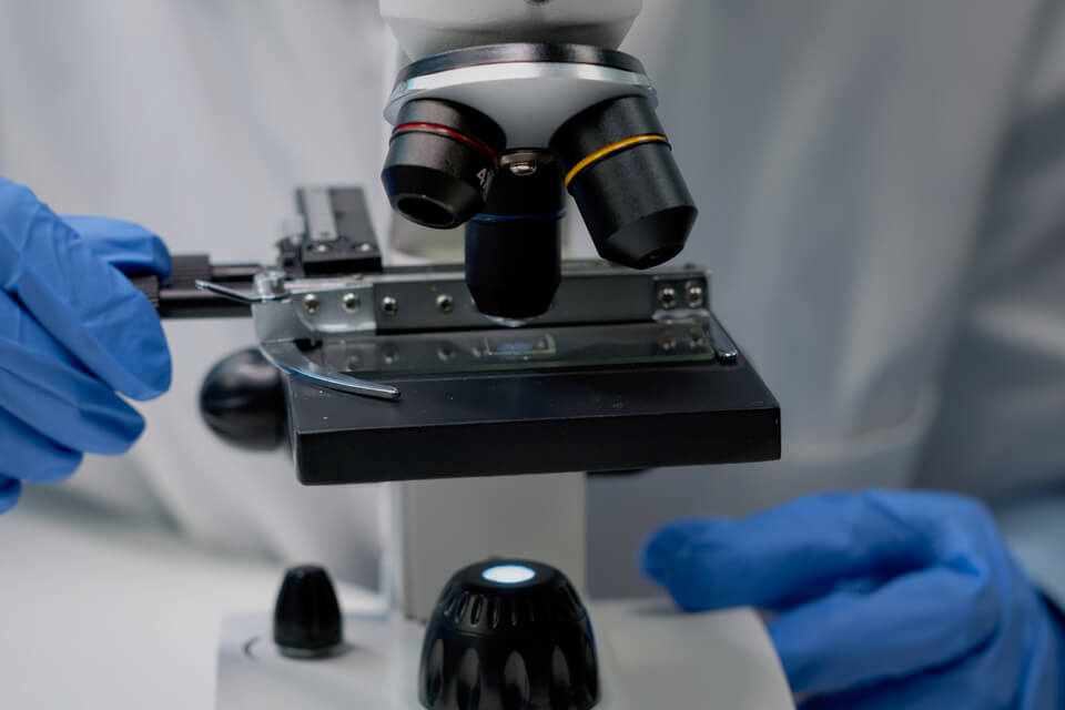 Bright Bioservices: Body donation for disease research