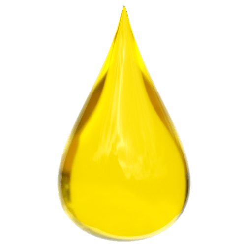 Beyond Oil | For a Sustainable Future