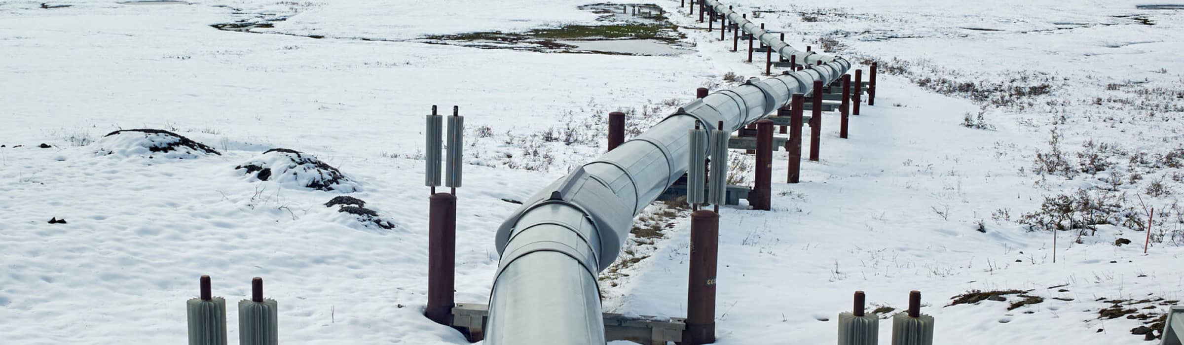 What does the approval of the Willow Project mean for our planet? | SKOOT