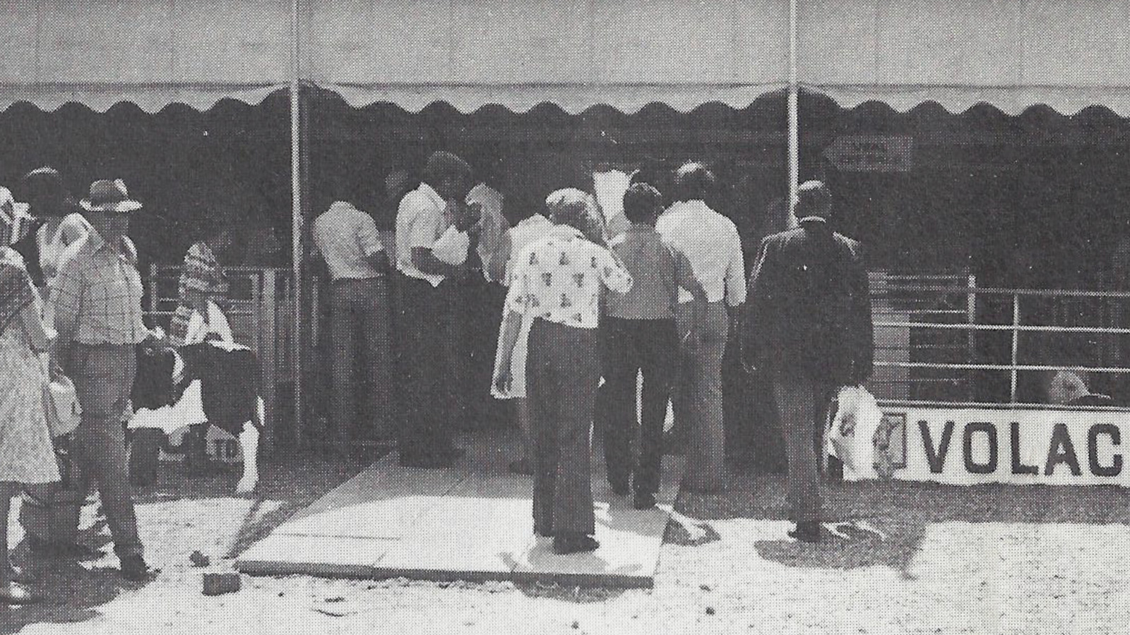 The Still Studio. Quietly beautiful digital.