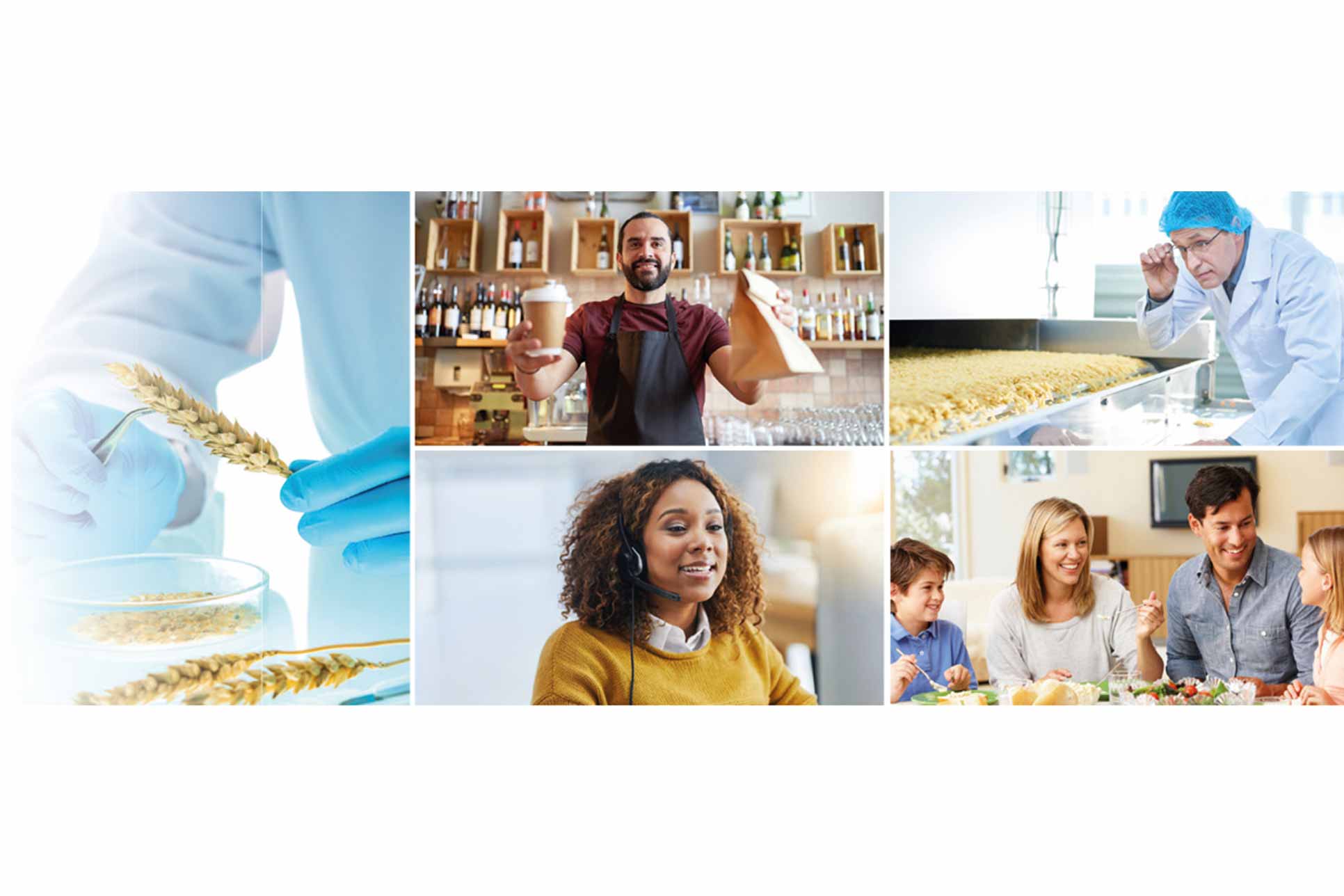 Director Audit, Incidents & Investigations, Food Safety Authority of ...