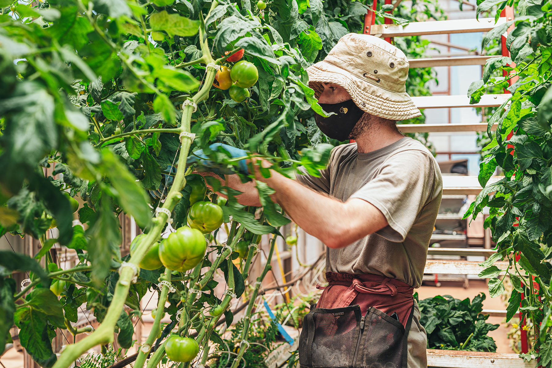 Our Story | Sensei Farms