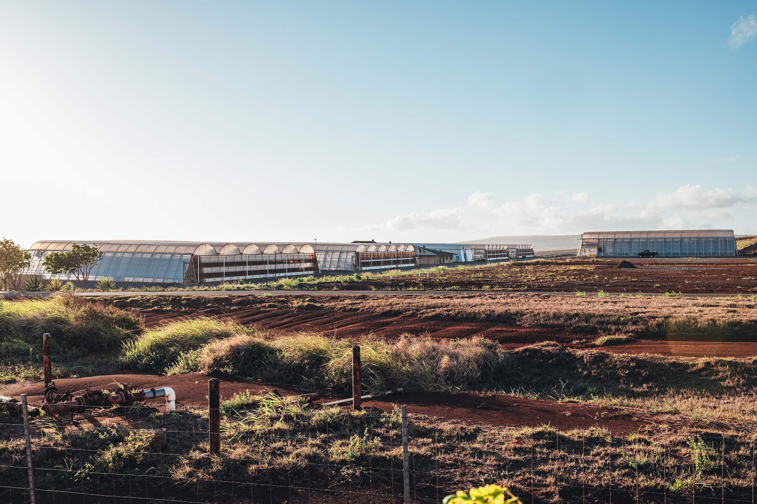 Our Story | Sensei Farms