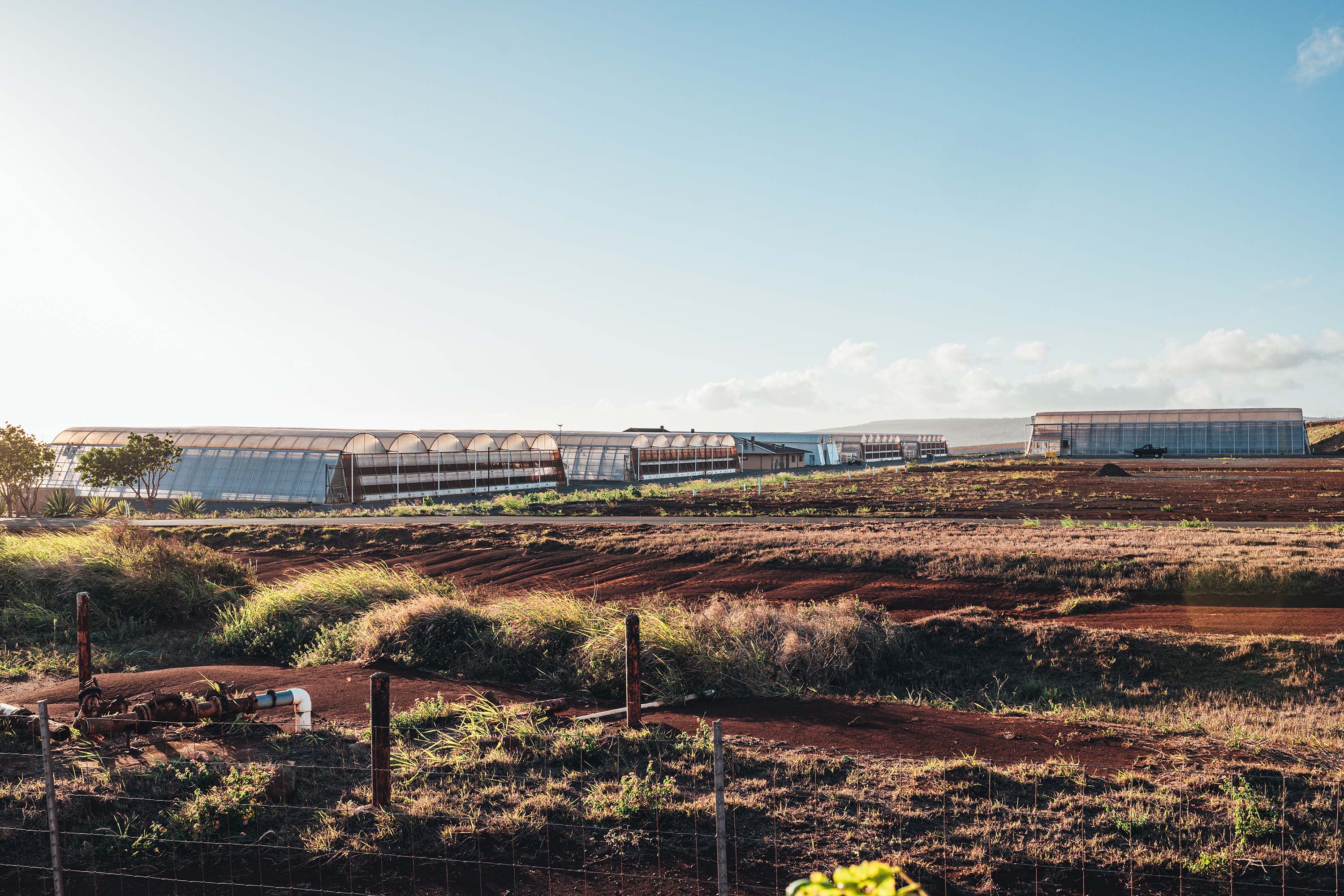 Our Story | Sensei Farms