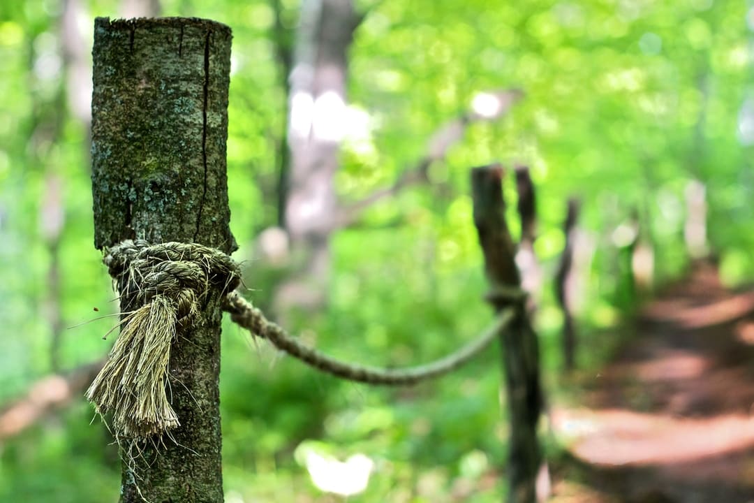 Korinji | The Rinzai Zen Community | Wisconsin USA