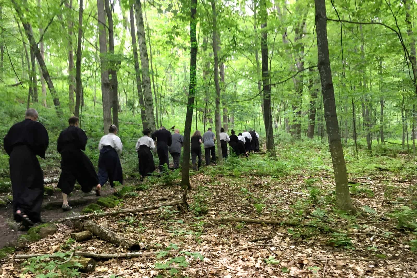 Korinji | The Rinzai Zen Community | Wisconsin USA