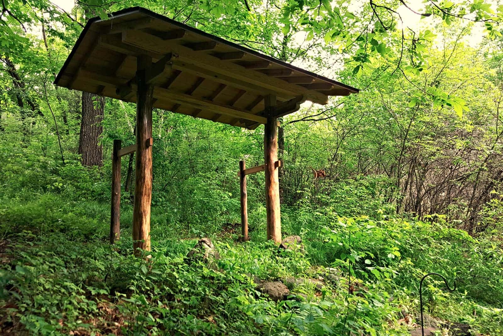 Korinji | The Rinzai Zen Community | Wisconsin USA