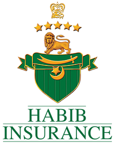 About | Habib Investment Limited