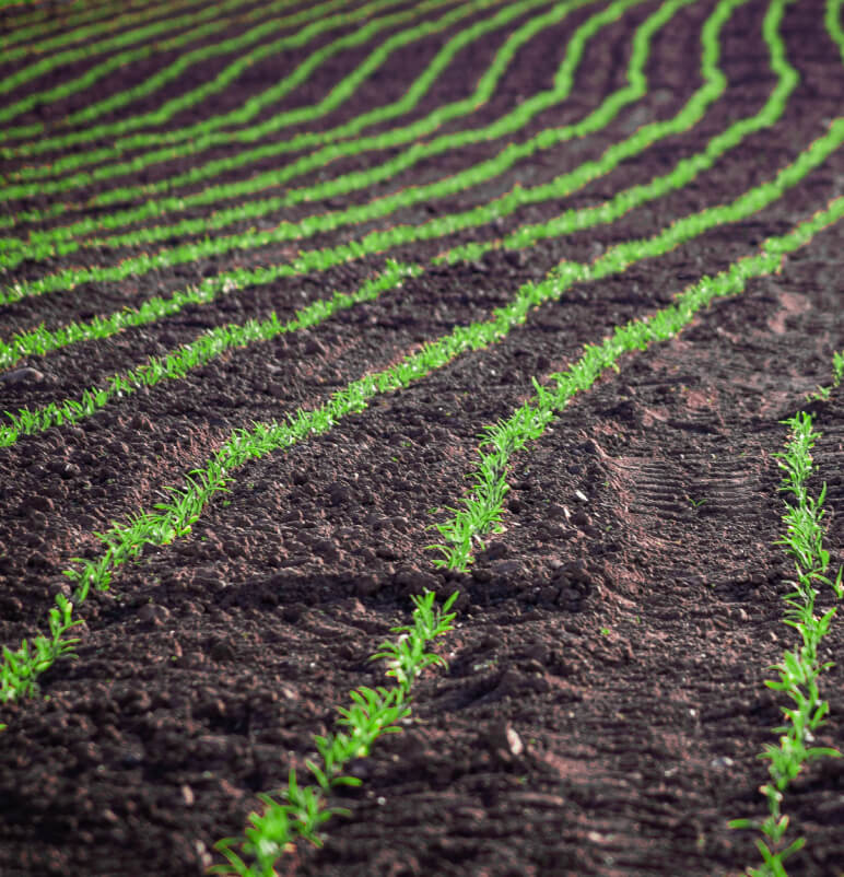 BioIQ Australia | Product Reviews