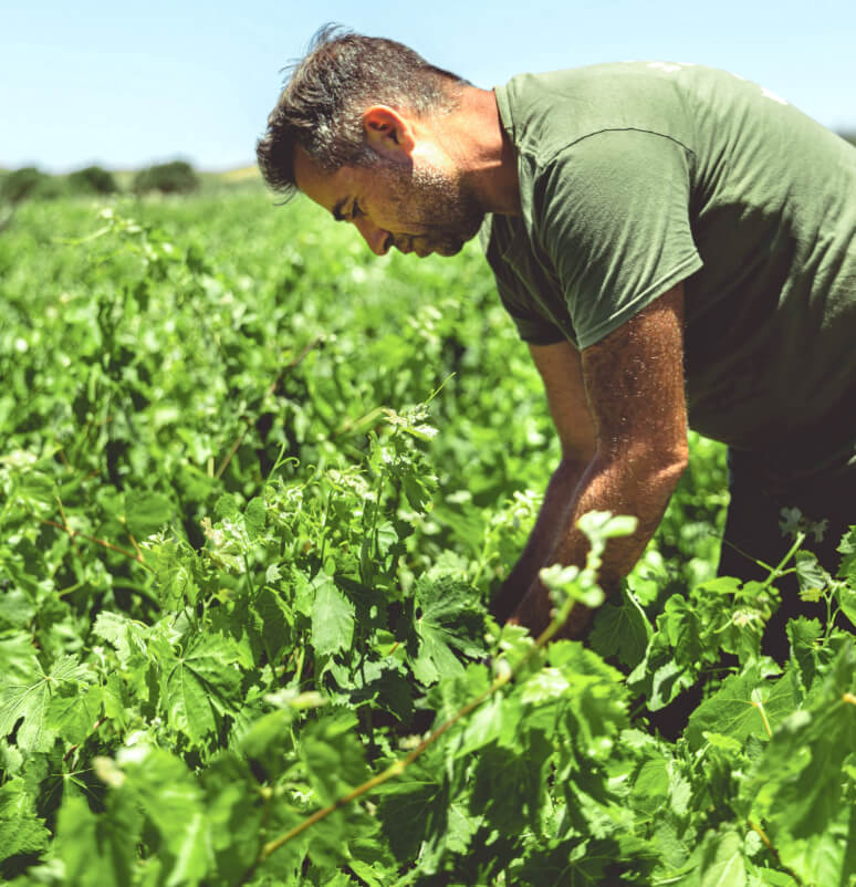 BioIQ Australia | Product Reviews