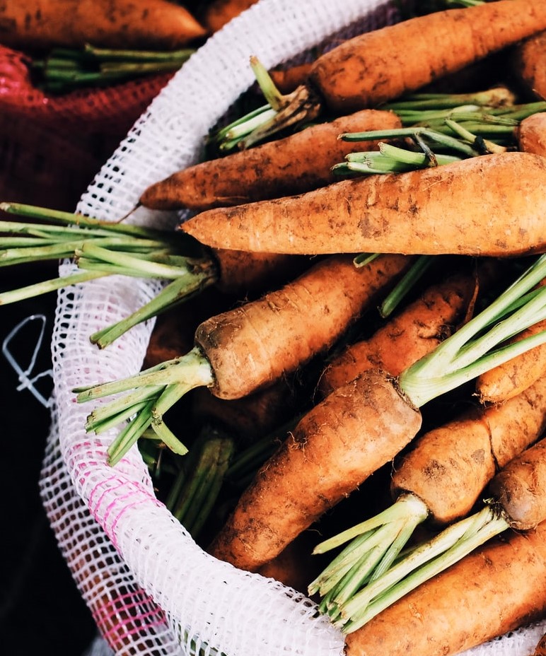 BioIQ Australia | About Us