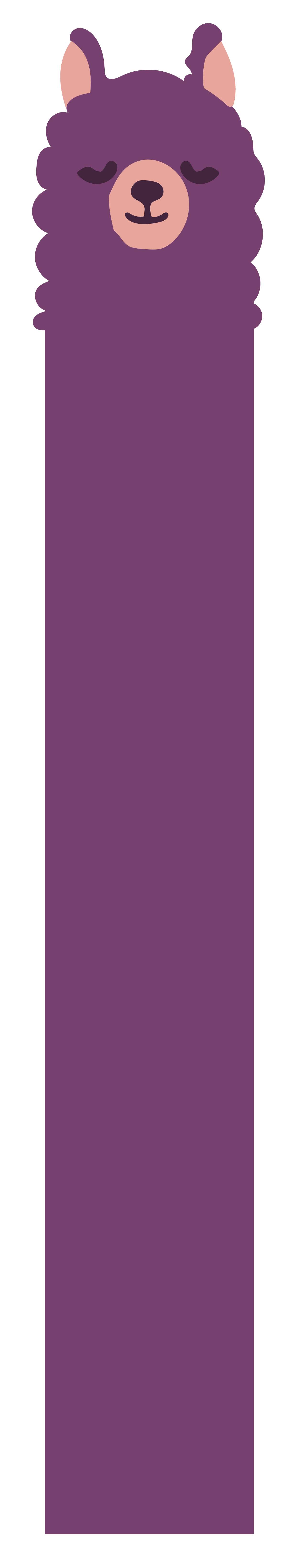 Smart Alpaca Marketing