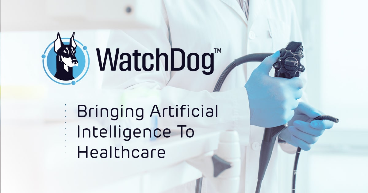 WatchDog™: Bringing AI to Healthcare for Greater Medical Device Safety