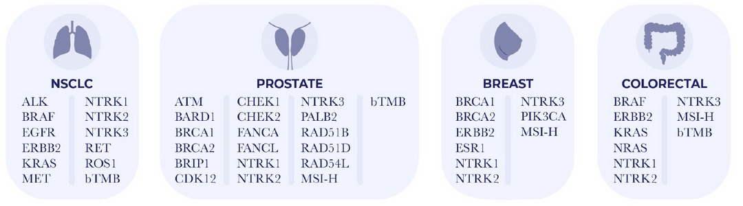 Omicure NGS DNA Panel - Solid Tumor