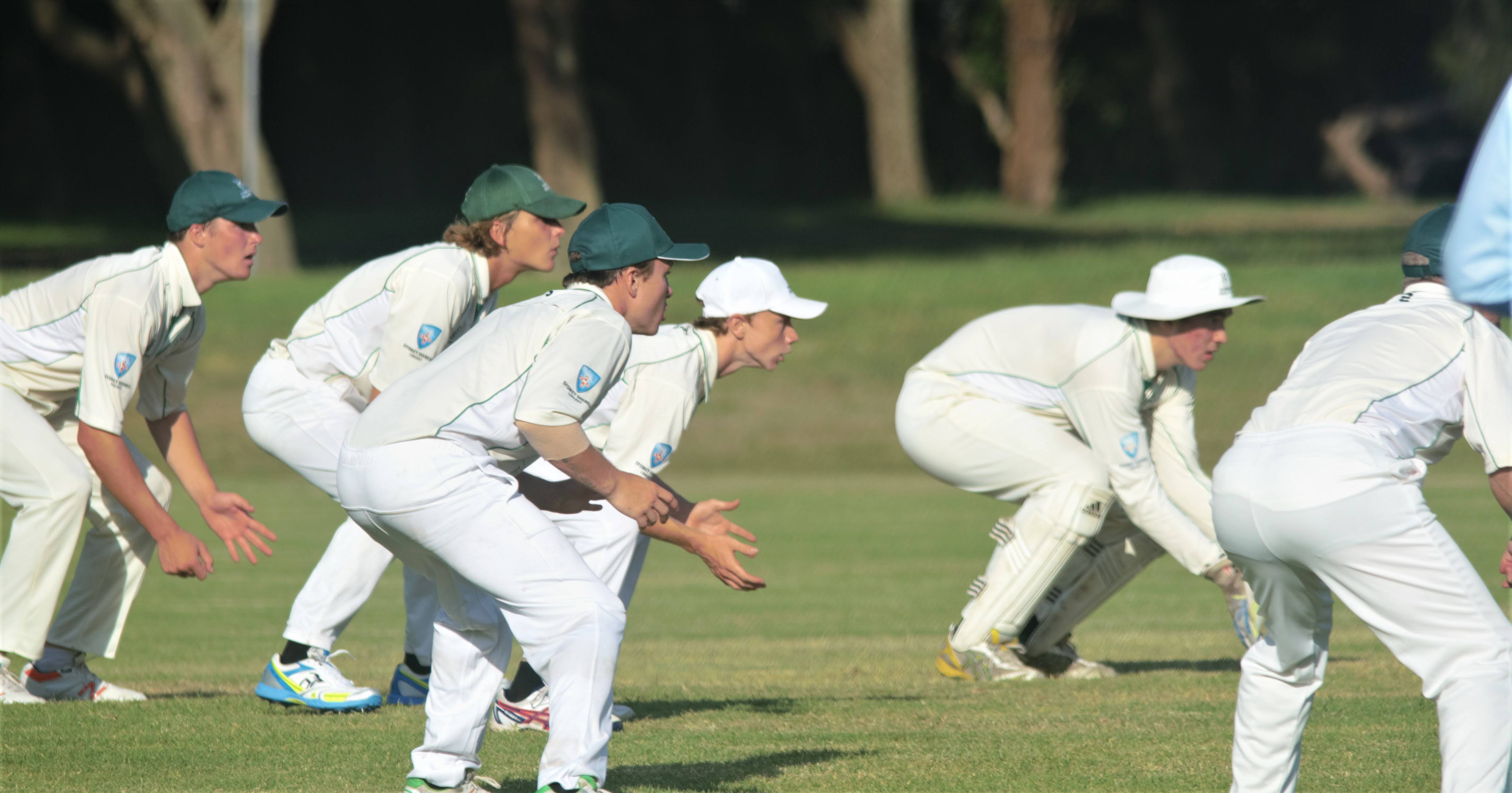 Become a member - Warringah Cricket Club
