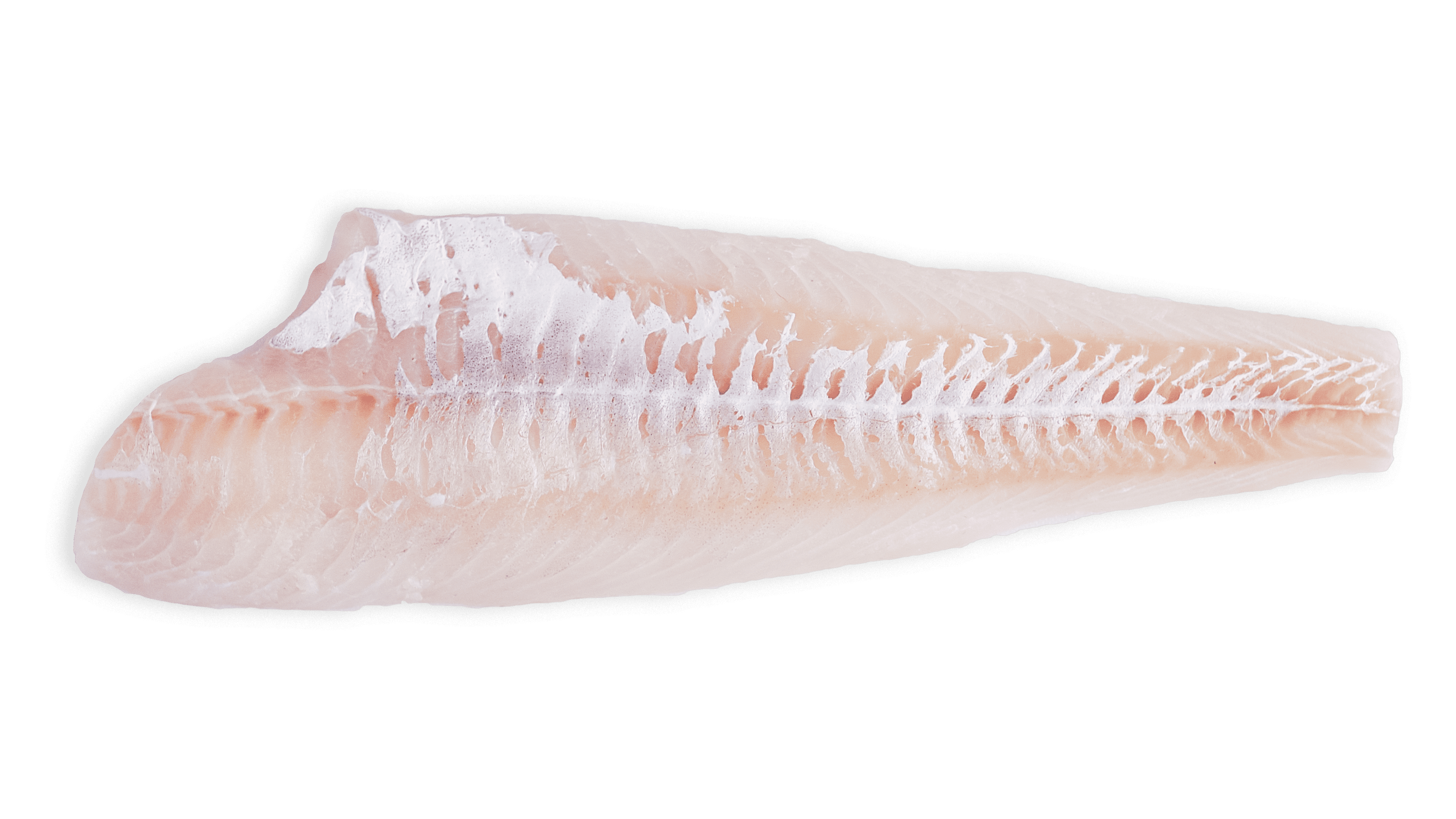 Monster Pet Food | Hälsosamt foder för hund & katt