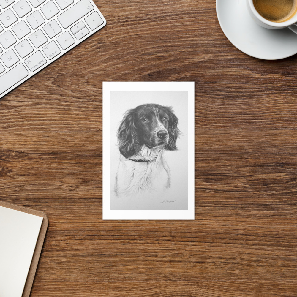 Taming Wildlife | Product - Black & White Spaniel Card