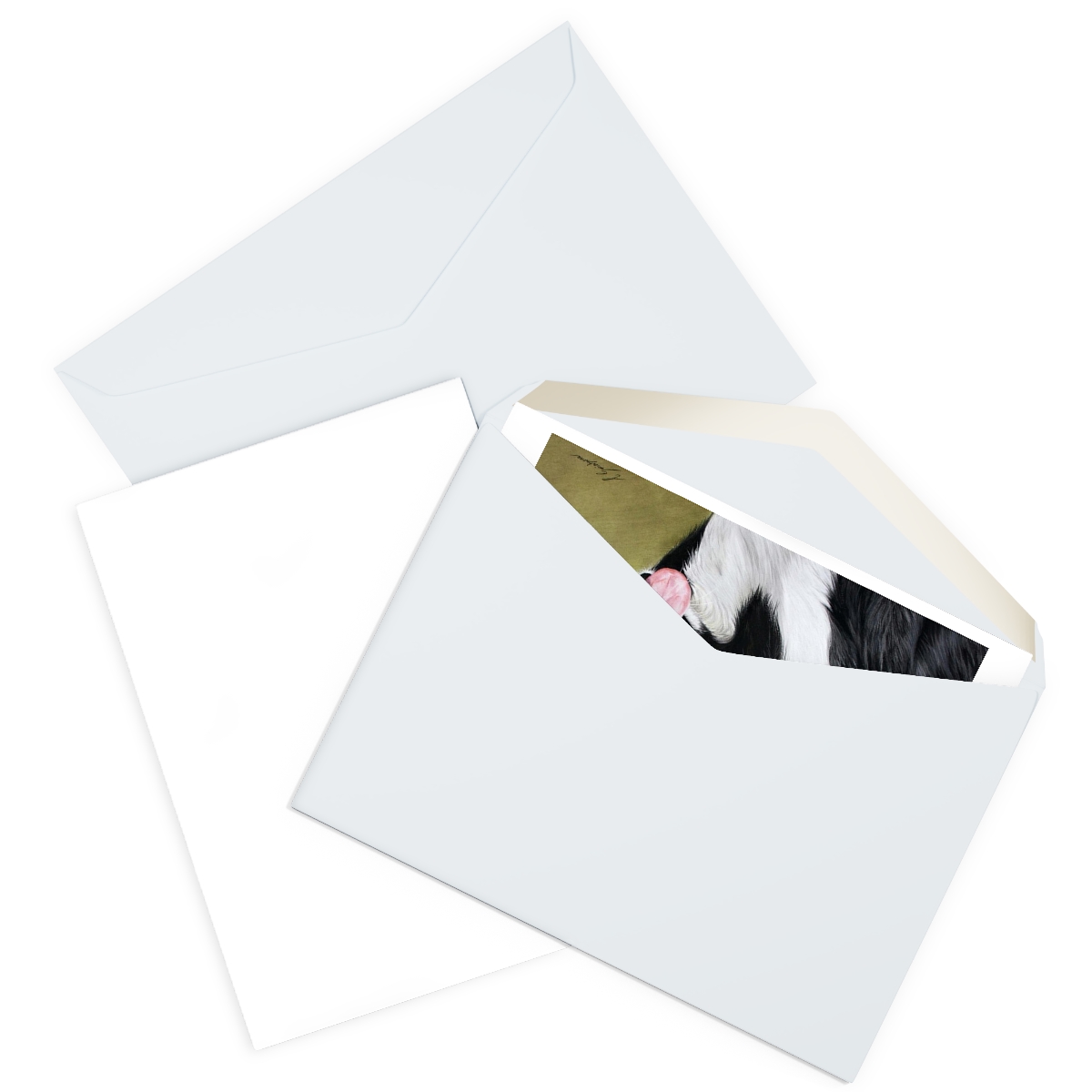 Taming Wildlife | Product - George Collie