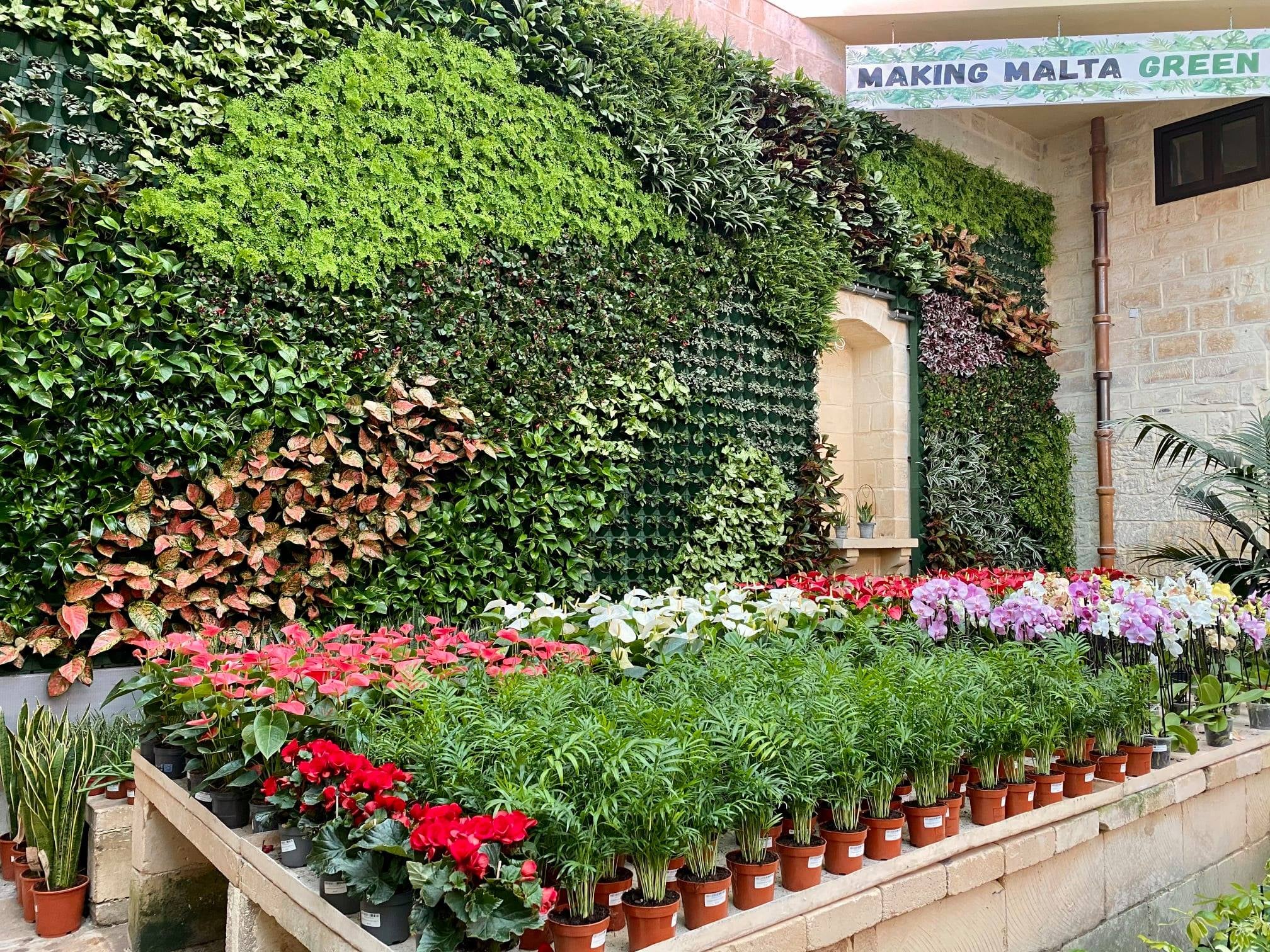 Derek Garden Centre Malta | Plants Malta | Derek